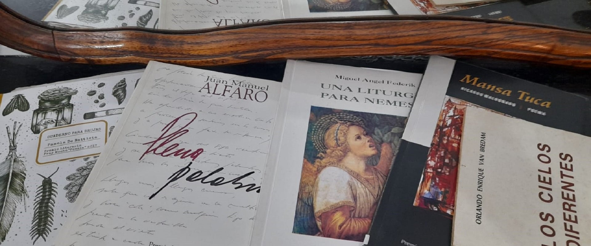 Se conoció la ganadora del Premio Literario Fray Mocho: Carla Olivera ...