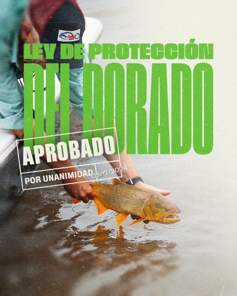 Por unanimidad, se sancionó la Ley que prohíbe la pesca comercial del ...